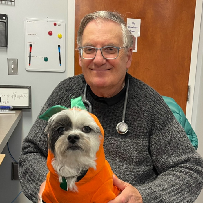 Veterinarian In Charlestown, MA 02129 | Charlestown Veterinary Hospital